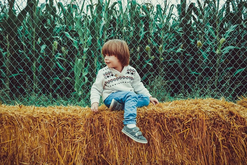 Farm Day Fun: Tips for Bringing the Kiddies Along