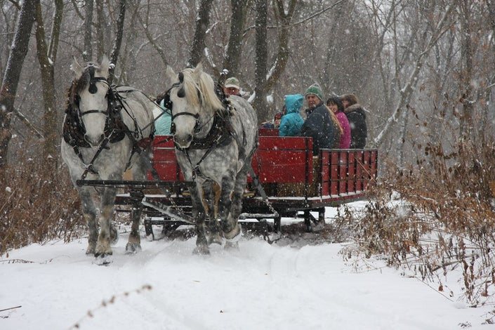 Horse Hay Ride